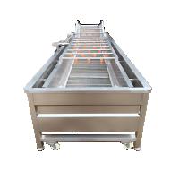 China 500kg/H-3000kg/H Bubble Cleaning Machine Fruit And Vegetable Cleaning Machine for sale