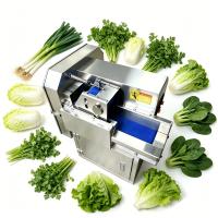 China Stainless Steel Industrial Vegetable Chopper Machine 120kg/H-350kg/H for sale