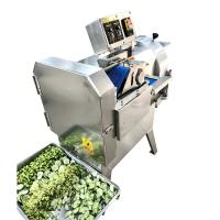 China Stainless Steel Industrial Vegetable Chopper Machine 120kg/H-350kg/H for sale