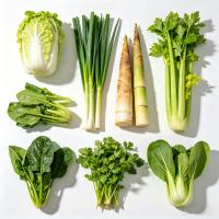 China Food Grade Stainless Steel Easy Cleaning Space Saving Adjustable Speed Leafy Vegetable Dicer For Lettuce Scallion Bok Choy Chive for sale