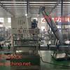 China Automatic Capping Machine For Plastic Cap Linear Closure Sealing Capper Machine for sale