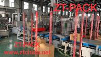 China Servo Carton Packing Machine for sale