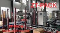 China Servo Carton Packing Machine for sale
