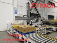 China Servo Carton Packing Machine for sale