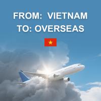 China EXW DDU DAP DDP Air Freight Logistics From Vietnam To Overseas Door To Door for sale