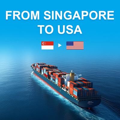 China Complimentary Meals Beverages Sea Freight Logistics Company From Singapore To USA for sale
