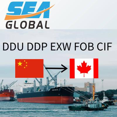 China Reliable Ocean Freight and Sea Freight Services from China to Saint John with 24/7 Support, Warehousing, and Customs Clearance for sale
