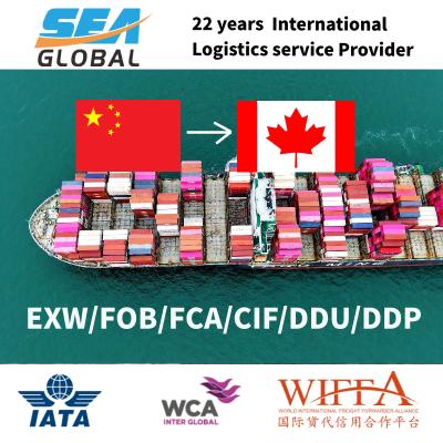China Canada-Tailored LCL Consolidation Ocean Freight Forwarder with All-Inclusive DDP Convenience and Seamless Door-to-Door Flow for sale