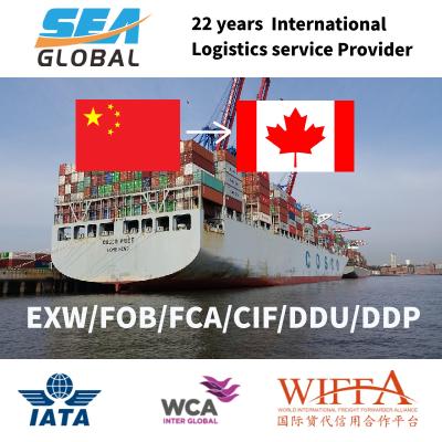 China Ocean LCL DDU Freight Forwarder | Direct Shipping to Sweden, Poland, Canada for sale