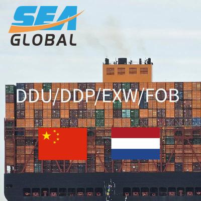 China Trusted FCL shipping from China to Netherlands Rotterdam port with experienced logistics management for sale
