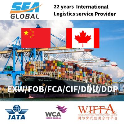 China DHL Maritime Sea Freight China to USA | FBA DDP Delivery & Competitive Rates for sale