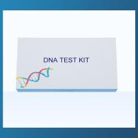 China Gene Sequencing DNA Collection Kit Parent Child Relationship Detection Kit for sale