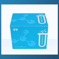 China Magnetic Bead Based DNA Extraction Kits Medical Laboratory Reagent for sale