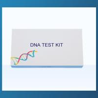 China HCY Home Paternity 150mm DNA Sample Collection Kit For Paternity Test for sale