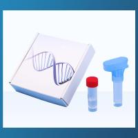 China ISO13485 NMPA DNA Saliva Collection Kit For Diagnostic Testing for sale