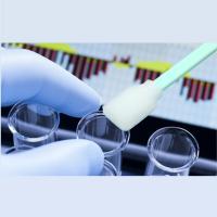 China Dust Free Sponge Cotton Swab Purifying Medical Applicator Free Of Trace Alcohol Preservatives for sale