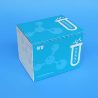 China ODM PCR Nucleic Acid Purification Kits Magnetic Bead Method for sale