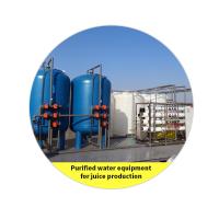 China Pure Water Equipment For Juice Production 15T/H Automatic Two-Stage Reverse Osmosis Water Treatment for sale