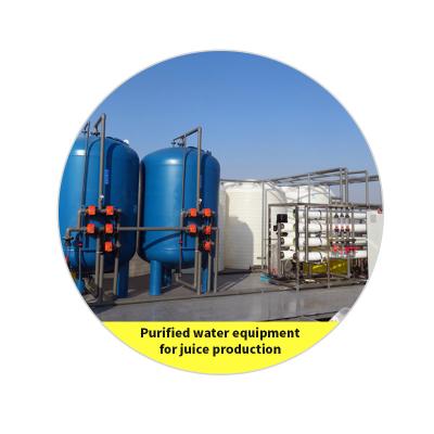China Pure Water Equipment For Juice Production 15T/H Automatic Two-Stage Reverse Osmosis Water Treatment for sale