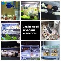 China 250g/bag Ceramic Bio-porous Filter Medium Bio-ring Fish Tank Nitrifying Bacteria Biosphere for sale