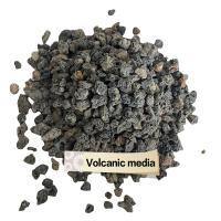 China Volcanic Rock Biofilter Rich Micropore And Mesopore Strong Structure Non-toxic And Harmless for sale