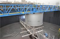 China Sewage Treatment Plant Mud Clarifier Settling Tank Bridge Sludge Scraper for sale