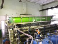 China Dissolved Gas Flotation (DAF) Unit Capacity 400 M3 /H PRFV Wastewater Treatment Material FRL for sale