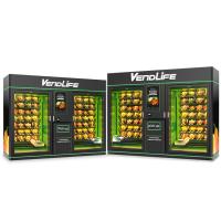 China sample it vending machine hot drinks vending machines business for sale for sale