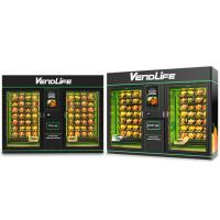 China sample it vending machine hot drinks vending machines business for sale for sale