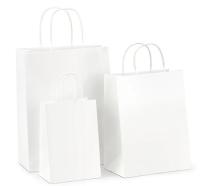 China White And Brown Kraft Paper Twisted Handle Shopping Carrier Bag With Logo Printed for sale