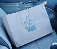 China Recyclable Brown Paper Shopping Bag Custom Printed With Reusable Handles for sale