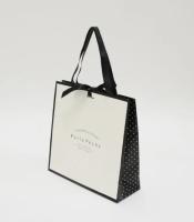 China 100% Paper Shopping Bags For Shopping Recyclable Disposable for sale