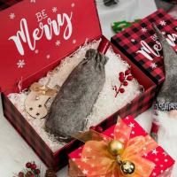 China Christmas Gift Box Printing Rigid Folding Paper for sale