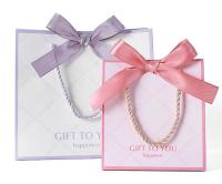 China Matte Laminated Paper Gift Bag With Rope Handle For Boutique Gifts for sale