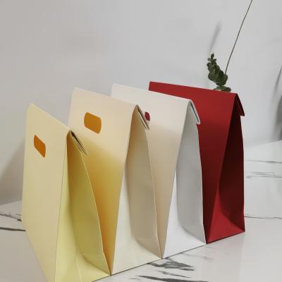 China Luxury Clothing Gift Bags With Customizable Logo Printing Premium Hand Carry Bags For Fashion Gifts Branding for sale