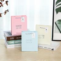 China Eco-Friendly Paper Gift Bags with Rope Handles for Clothing for sale