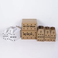 China Extra Strong Live Animal Carrier Boxes Heavy Duty Pigeon Transport Cases Multi Size Pet Shipping Crates For Racing Birds Small Animals for sale