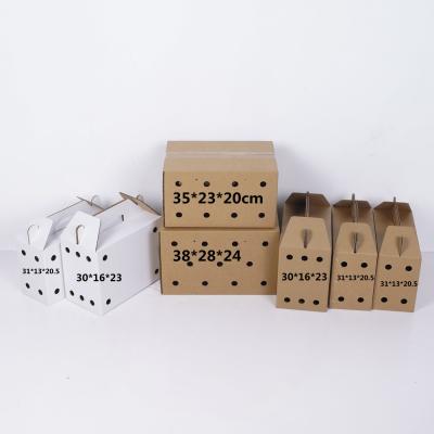 China Extra Strong Live Animal Carrier Boxes Heavy Duty Pigeon Transport Cases Multi Size Pet Shipping Crates For Racing Birds Small Animals for sale