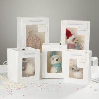 China Window Gift Bag Transparent Window Handbag Creative Gift Paper Bag Bouquet Packaging Handbag for sale
