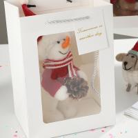 China Window Gift Bag Transparent Window Handbag Creative Gift Paper Bag Bouquet Packaging Handbag for sale