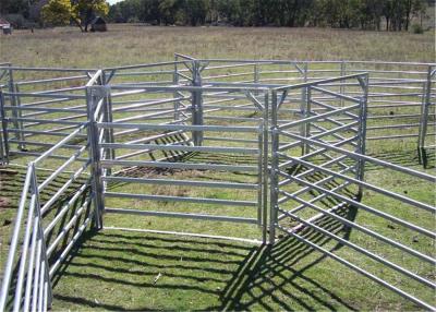 China Heavy duty galvanized livestock cattle panel used corral panels for sale
