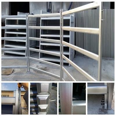 China 1800mm x 2100mm cattle panels oval pipes 30mm x 60mm ,40mm x 80mm for sale