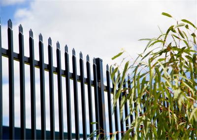 China Steel Tubular Fence/Fencing for sale
