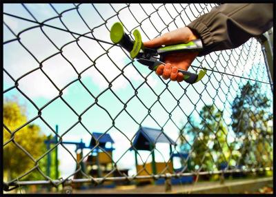 China 50mm x 50mm hurricane Fence Supplier ,Hot Dipped Galvanized ,Hurricane Chain Wire Fence for sale