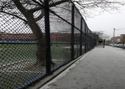 China 65x65 mm plastic pvc coated chain link wire mesh fence for sale
