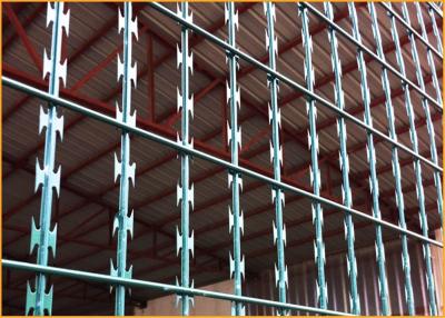 China 75X150mm/150X300mm Rhombus/Diamond Hole Welded Razor Mesh Fencing for sale
