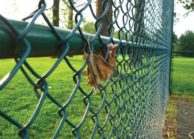 China Wire Mesh Fence/Wire Fencing /PVC Coated Chain Link Fence for sale