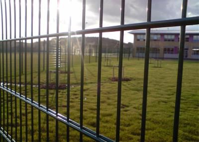 China 656, 868mm twin wire fence rather a rigidity, Hot Dipped Galvanized Then Powder Coated for sale