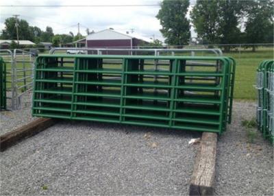 China 1800mm x 2100mm Horse Fence Round Pen 42mm O.D x 1.6 mm thickness Arena Corral Panel and Fram Gate Used In USA Market for sale