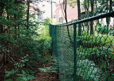 China 50*50MM PVC Coated Galvanized Chain Link Fence for sale